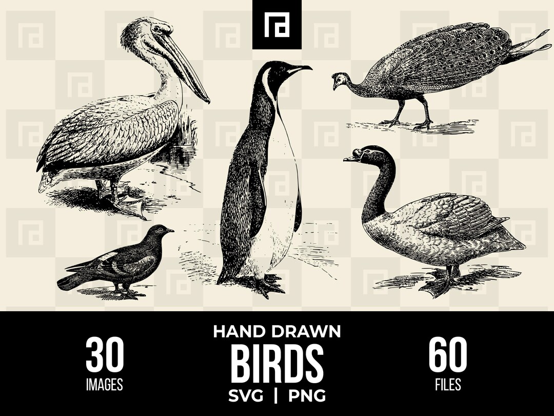 Hand Drawn Birds SVG PNG Bundle, Flying Animal Vector Graphics ...