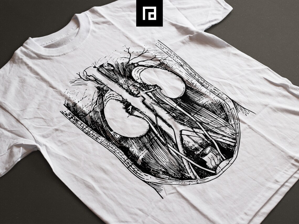 Hand Drawn Human Organs SVG PNG Bundle, Muscles, Joints, Ligaments ...