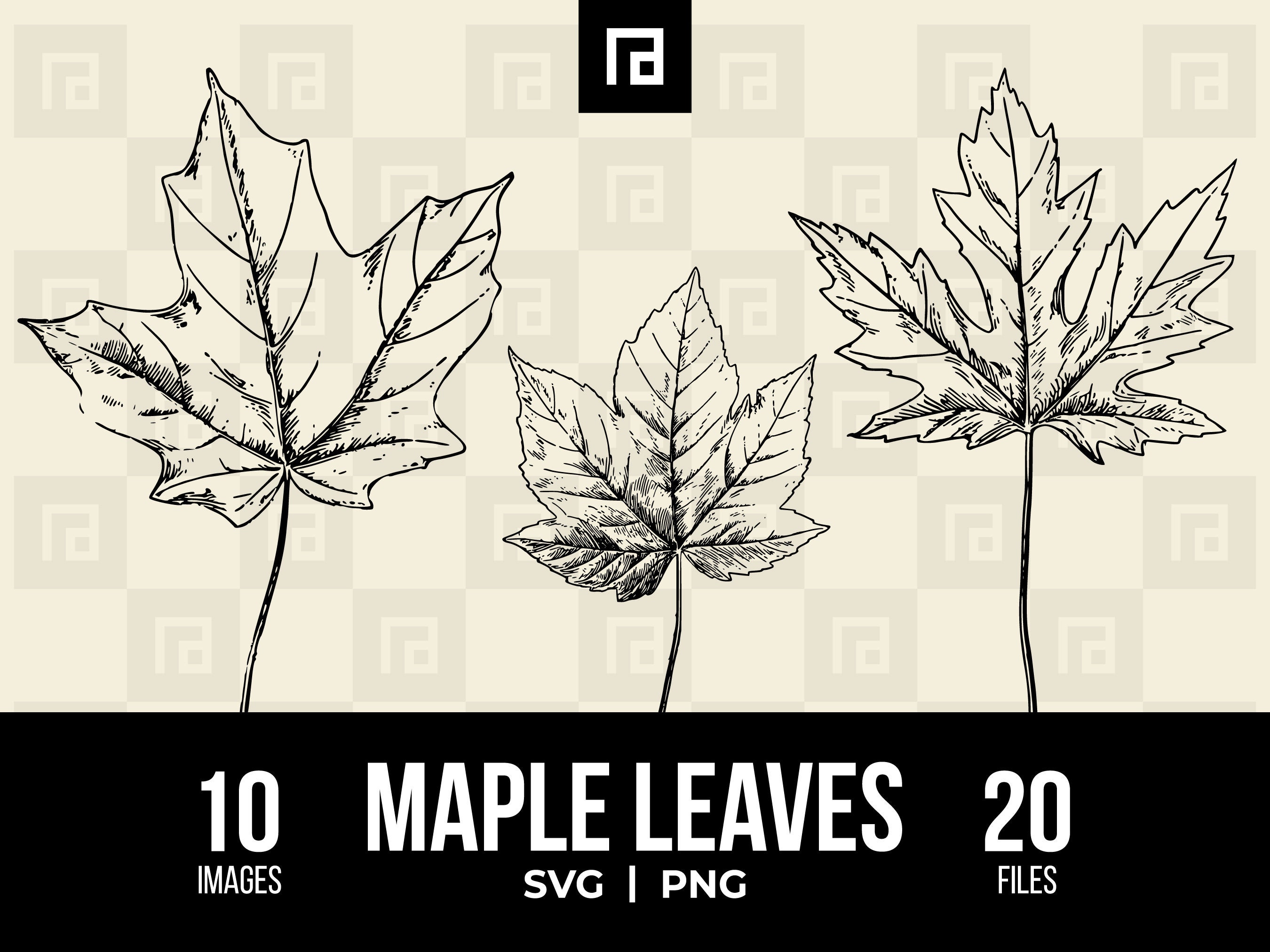 Maple Leaves SVG PNG Bundle, Various Hand-drawn Maple Foliage ...