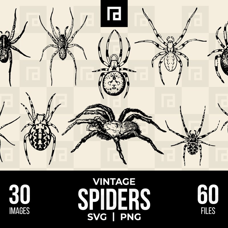 Spider Tattoo Stencil - Etsy