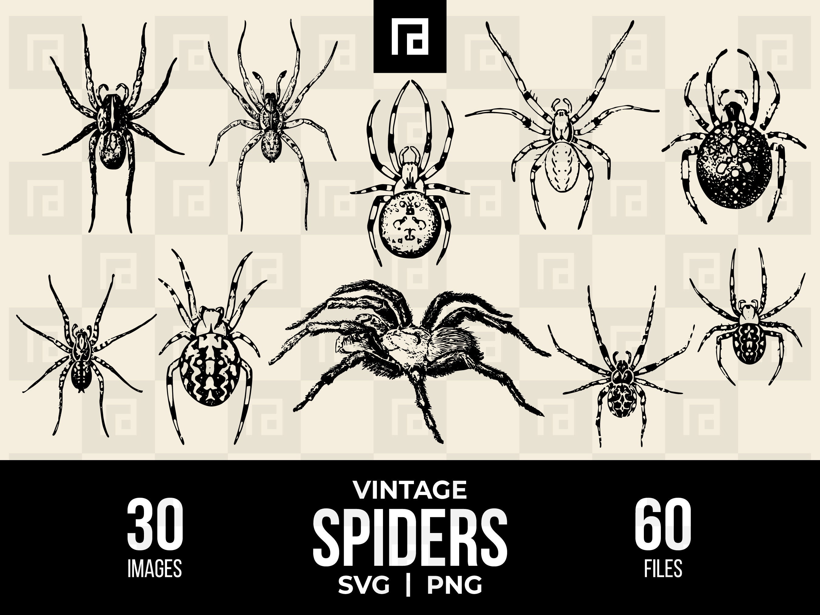 Vintage Spiders SVG PNG Bundle, Hand Drawn Poster, Invitations ...
