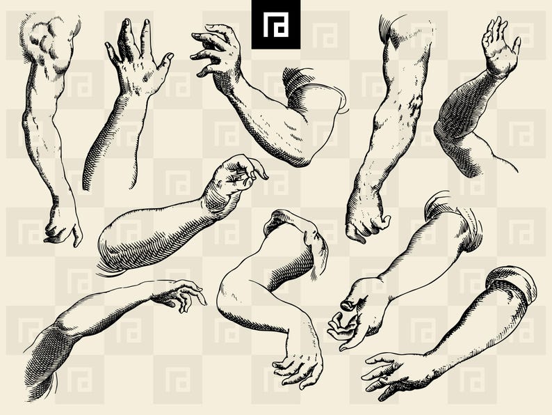 Hand Drawn Human Hands and Arms SVG PNG Collection, Shoulder, Elbow ...