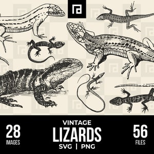 Vintage Lizards SVG PNG Bundle, Hand Drawn Reptile Vector Graphics ...