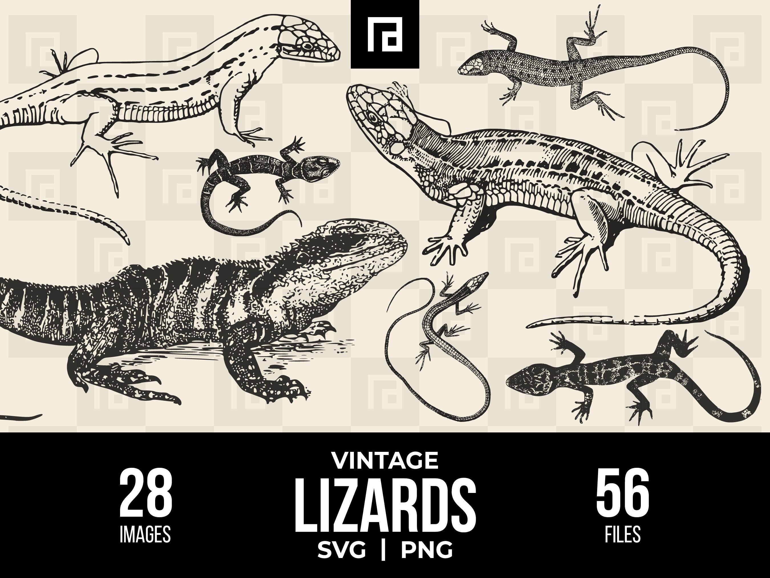 Vintage Lizards SVG PNG Bundle, Hand Drawn Reptile Vector Graphics ...