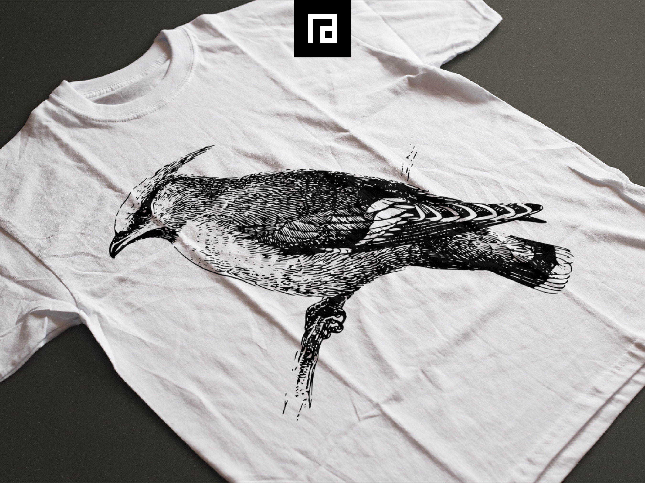Hand Drawn Birds SVG PNG Bundle 4, Ornithology Digital Drawings ...