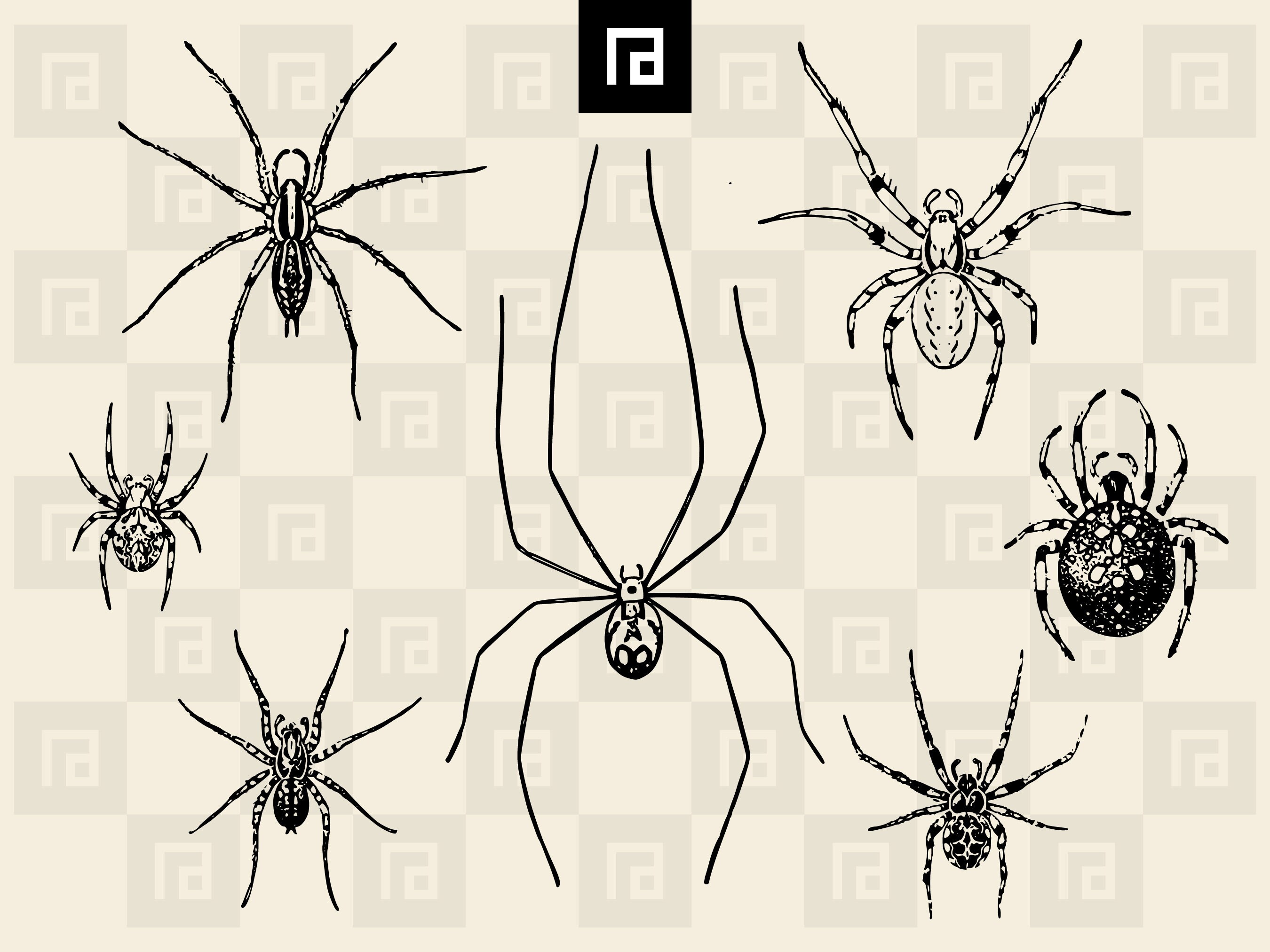 Vintage Spiders SVG PNG Bundle, Hand Drawn Poster, Invitations ...