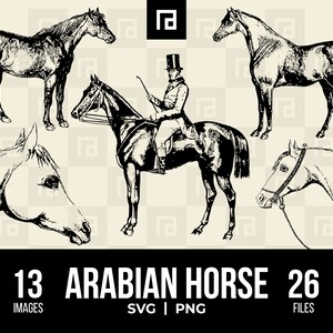 Arabian Horse SVG PNG Bundle, Arabian Horse Head Svg Files for Shirt ...