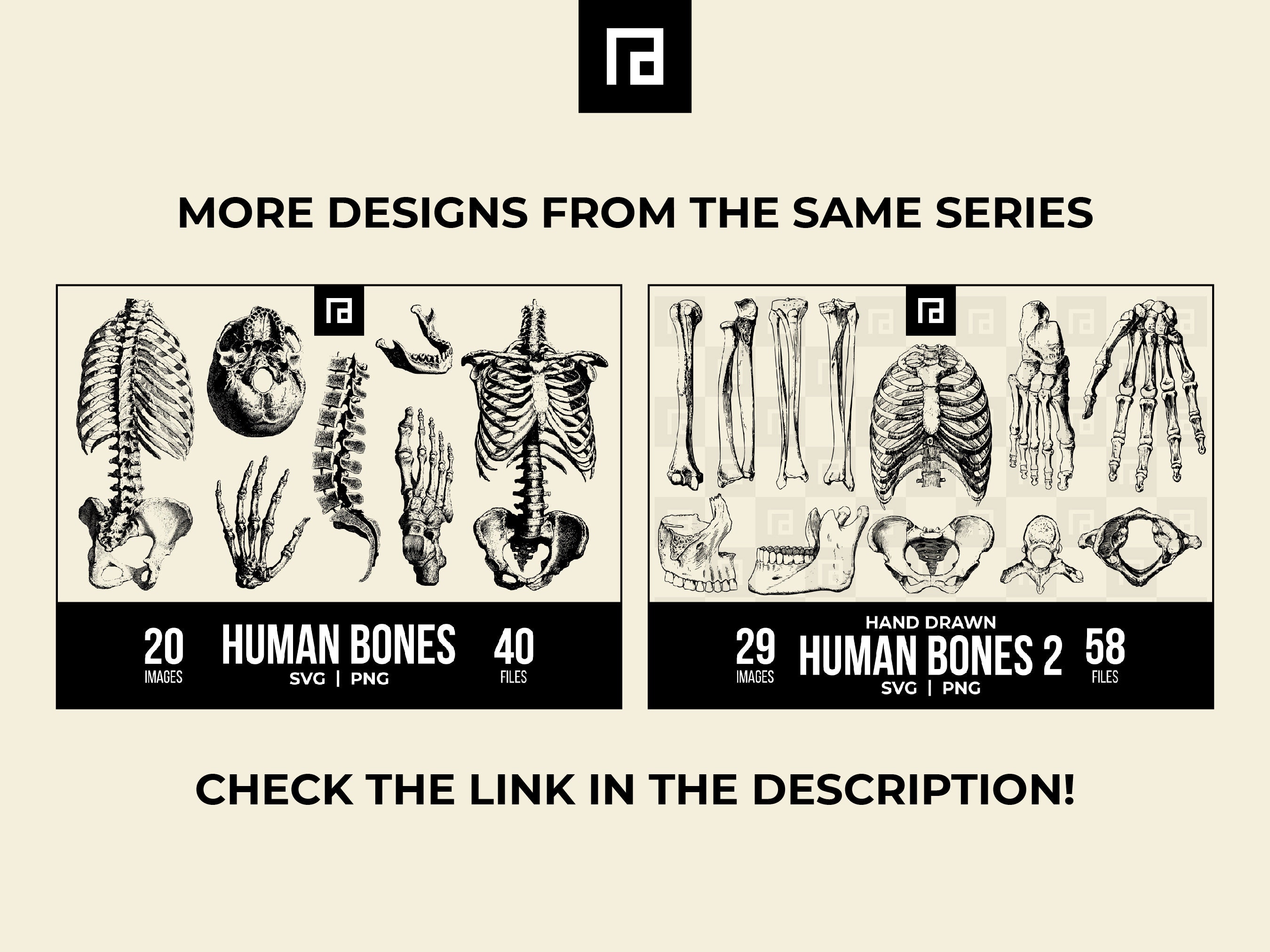 Hand Drawn Human Organs SVG PNG Bundle, Muscles, Joints, Ligaments ...