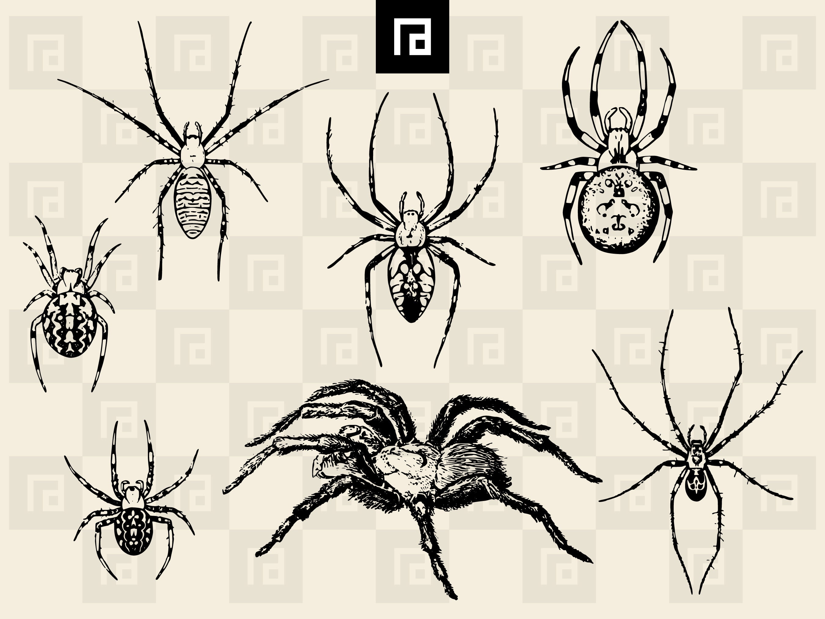 Vintage Spiders SVG PNG Bundle, Hand Drawn Poster, Invitations ...