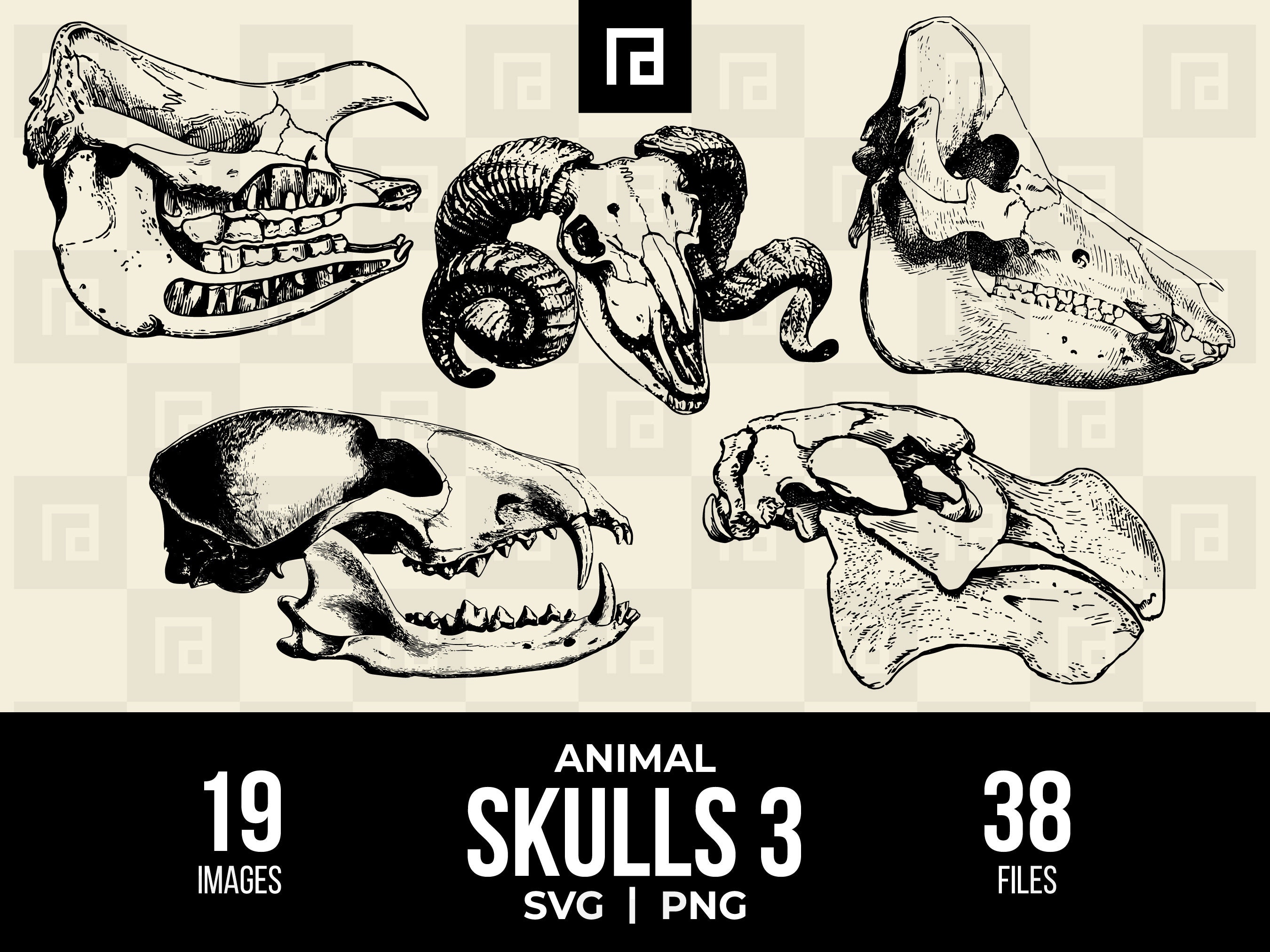 Animal Skulls SVG PNG Bundle 3, Domestic and Wild Animals Skull ...