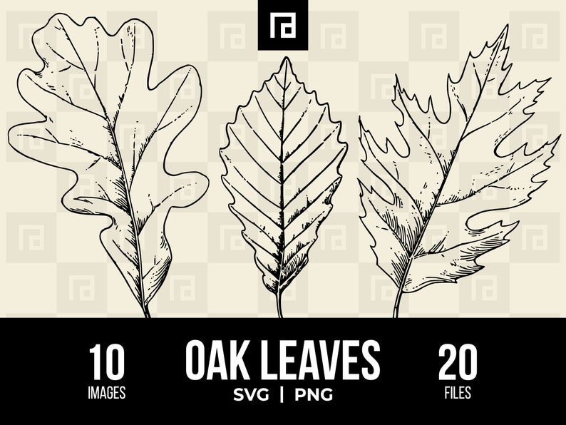 Oak Leaves SVG PNG Bundle, Various Hand-drawn Oak Foliage, Transparent ...