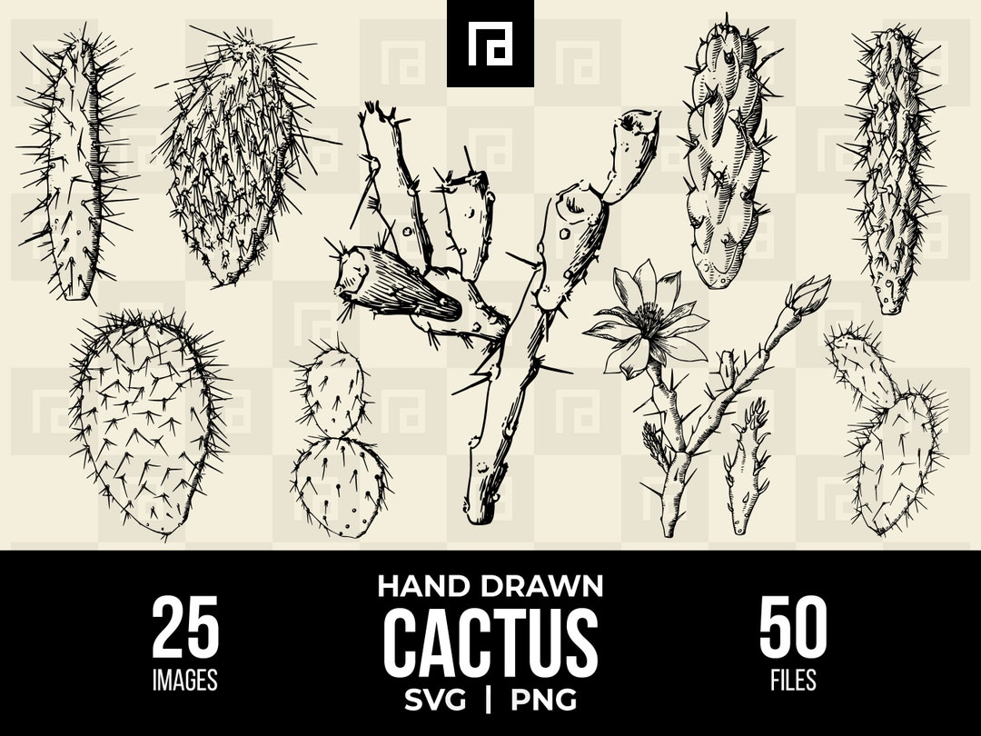 Hand Drawn Cactus SVG PNG Bundle, Cactus Sketch Vector Images ...