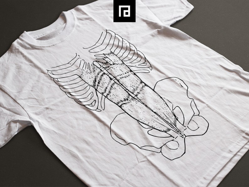 Hand-drawn Human Muscles SVG PNG Bundle, Anatomy Illustrations, Core ...