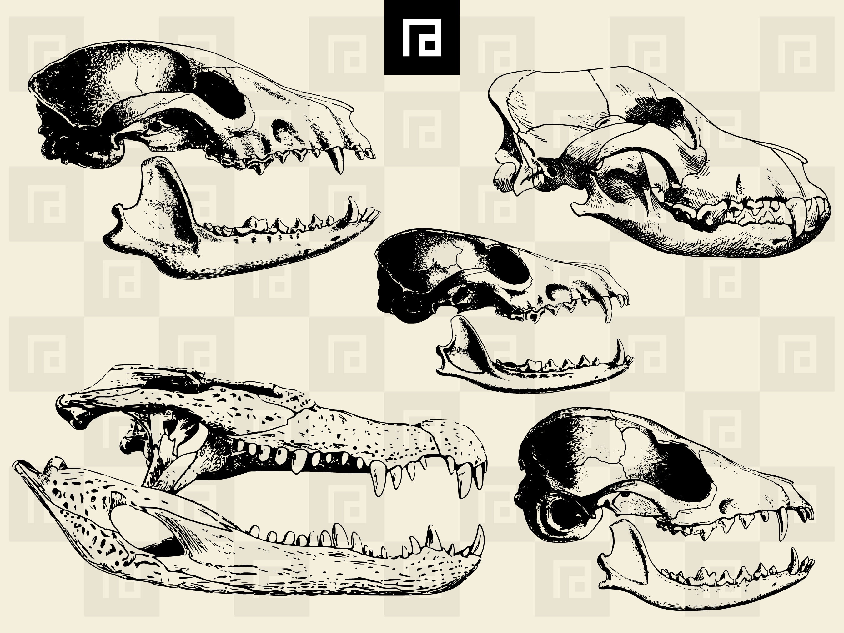 Animal Skulls SVG PNG Bundle, Domestic and Wild Animals Skull ...