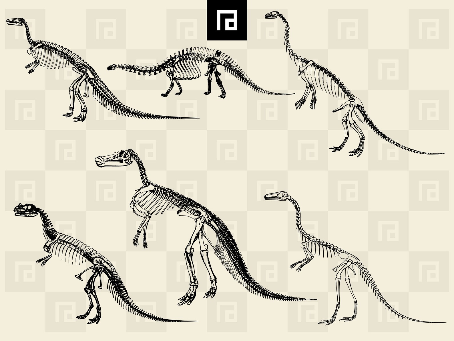 Prehistoric Dinosaur Skeletons SVG PNG Bundle, Hand-drawn Fossil ...