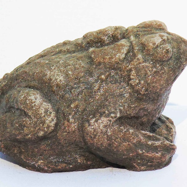 Concrete Toad - Etsy