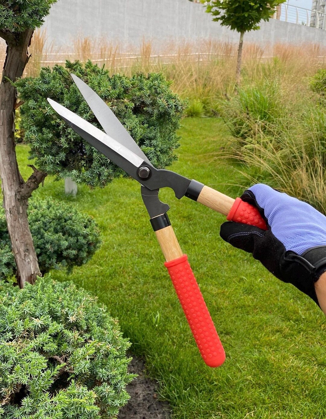 Mini Hedge Shear Kanenori B-18 With Red Vinyl Handles, Niwaki, Topiary ...