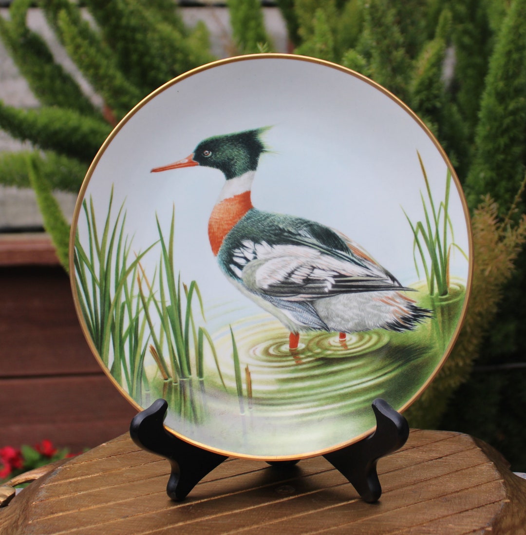 Vintage Bird Plate, 12 Water Bird Series, Red Breasted Merganser ...