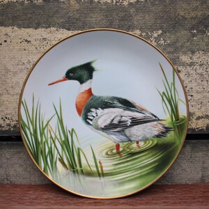 Vintage Bird Plate, 12 Water Bird Series, Red Breasted Merganser ...