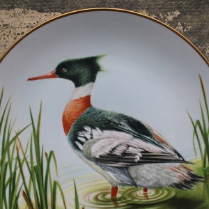 Vintage Bird Plate, 12 Water Bird Series, Red Breasted Merganser ...