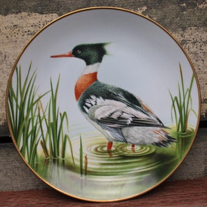 Vintage Bird Plate, 12 Water Bird Series, Red Breasted Merganser ...