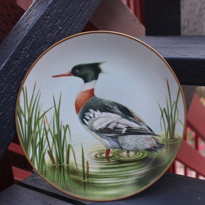 Vintage Bird Plate, 12 Water Bird Series, Red Breasted Merganser ...