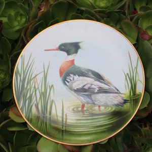 Vintage Bird Plate, 12 Water Bird Series, Red Breasted Merganser ...