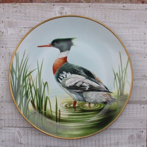 Vintage Bird Plate, 12 Water Bird Series, Red Breasted Merganser ...