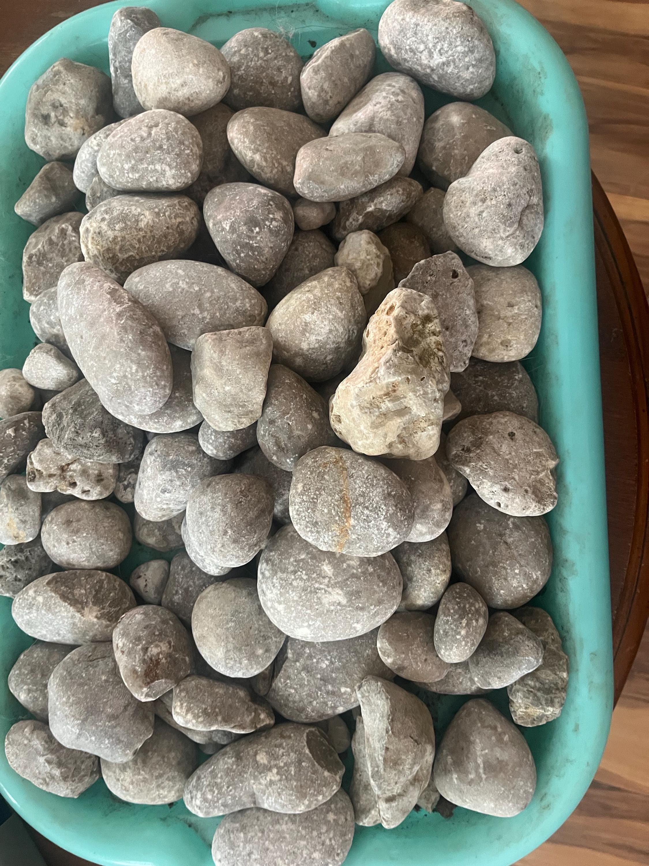 Petoskey Rocks-fossils. All Hand Picked and Hand Polished. No Imports ...
