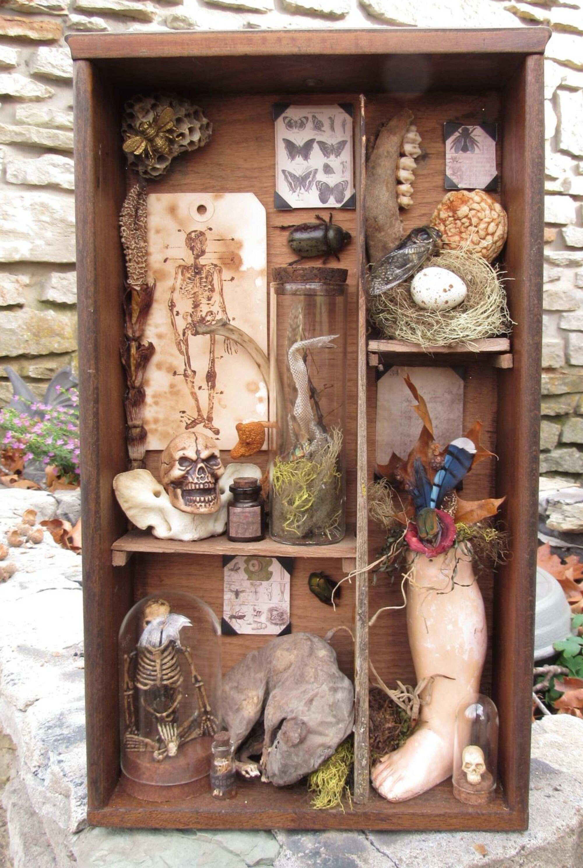 Amazing Assemblage Shadowbox Drawer Full of Found Items in | Etsy