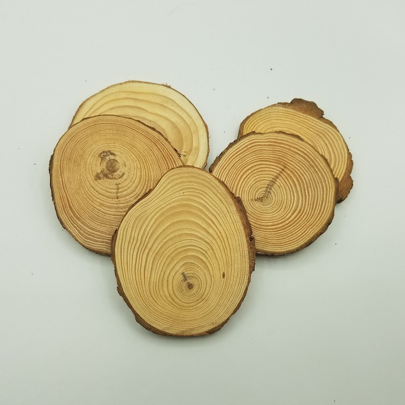 Wood Rounds - Etsy