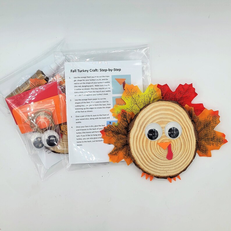 Craft Kits, DIY Turkey Craft, DIY Kit, DIY Crafts, Craft Kits for Kids ...