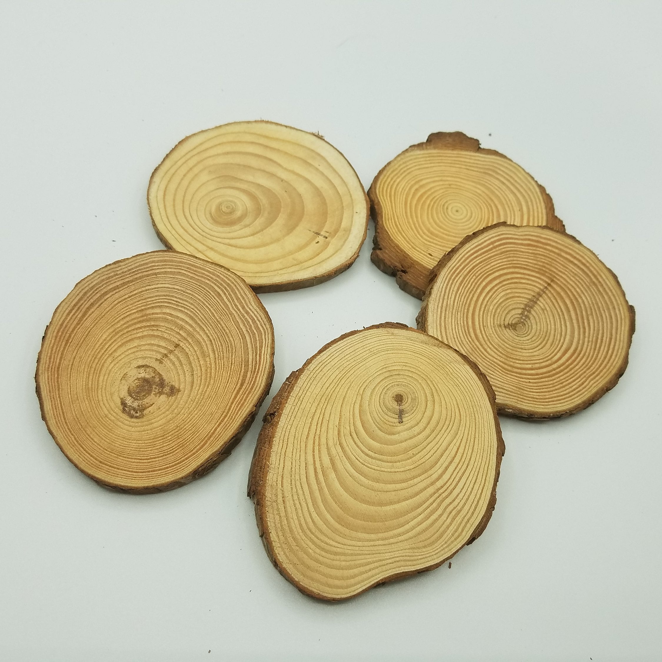 Wood Slices Natural Pine Wood Slice 3.5-4.5 Inch Wood - Etsy