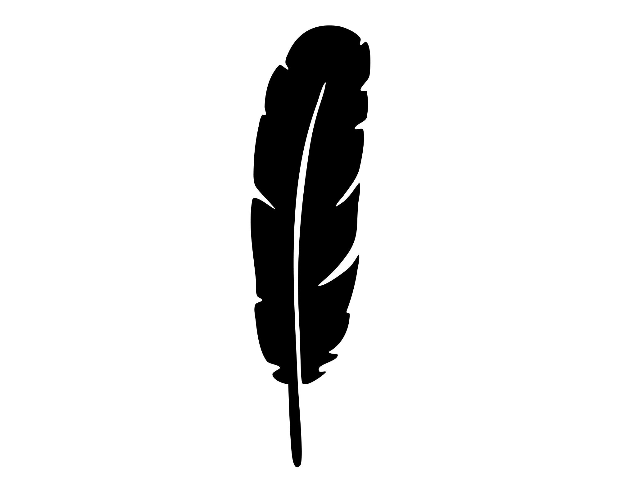 Feather SVG | Etsy