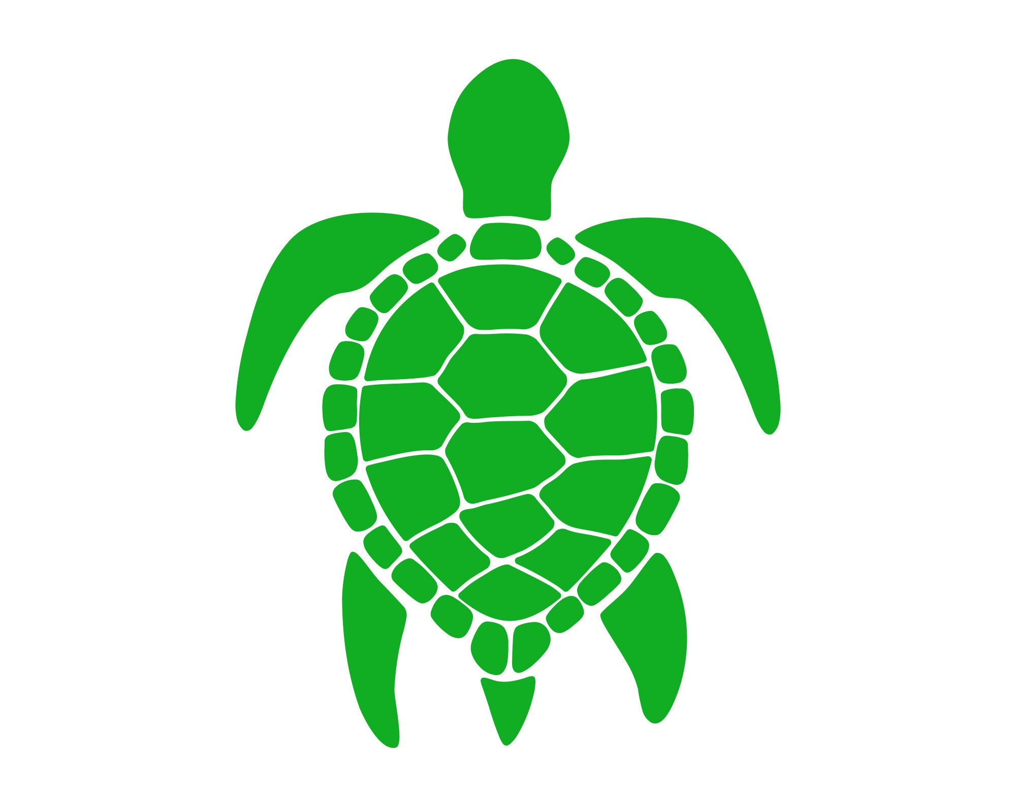 Turtle SVG - Etsy