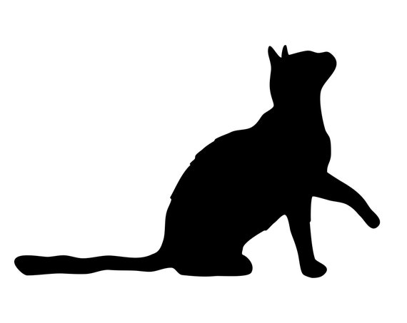 Cat SVG - Etsy