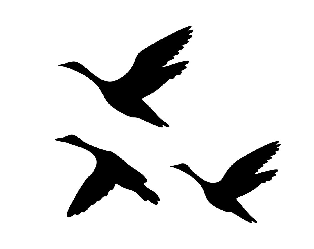 Geese SVG - Etsy
