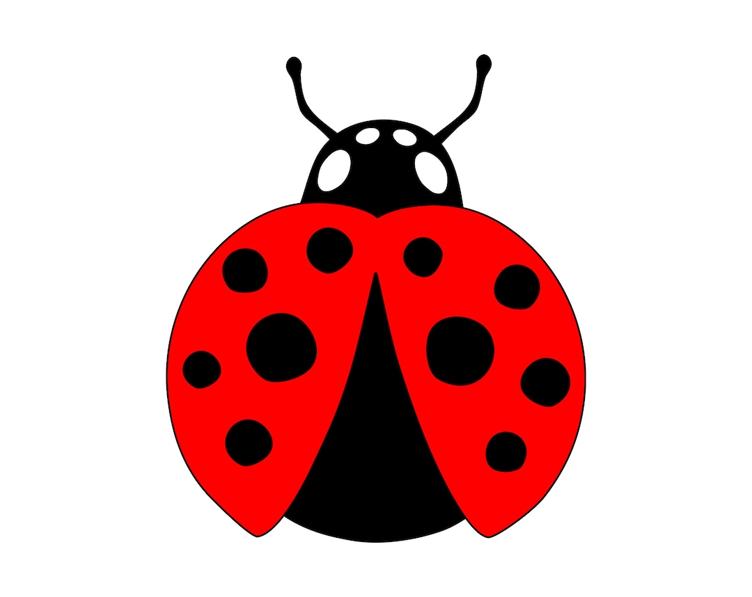 Ladybug SVG - Etsy