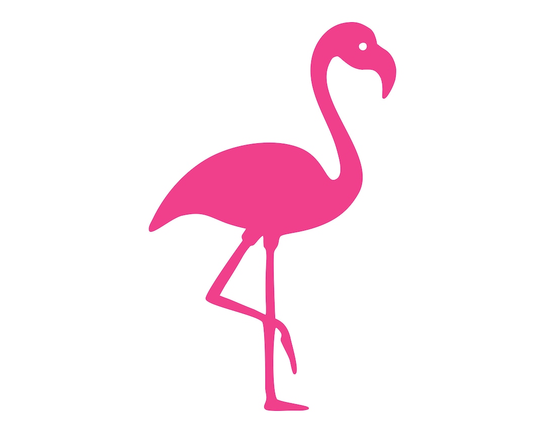 Flamingo SVG - Etsy