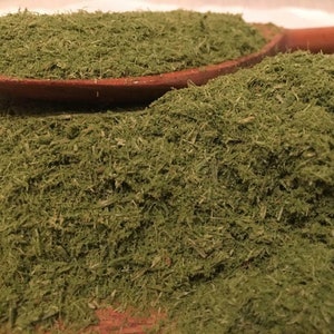 Pine Needle Powder, Spruce Pine picea Grined Pine Needles,70 Gram, 100% ...