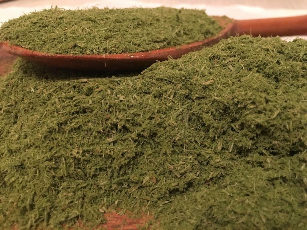 Pine Powder, Spruce Pine picea, Milled Pine Needle Powder, Grined ...