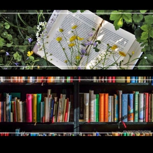 Facebook Cover Facebook Timeline Cover Facebook Cover Templates ...