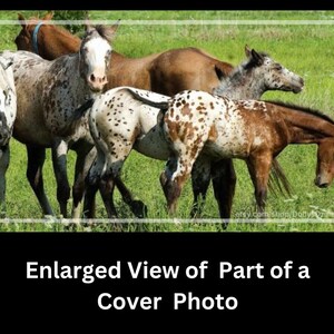 Facebook Cover Facebook Timeline Cover Facebook Cover Templates ...