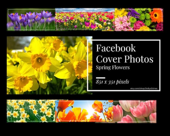 Colorful Facebook Timeline Covers