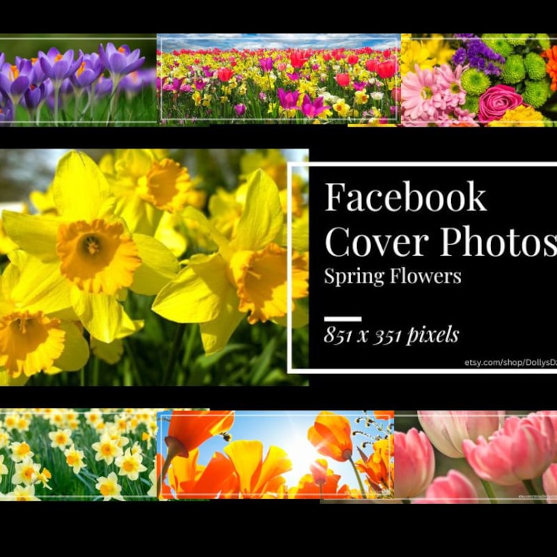 Spring Facebook Covers - Etsy