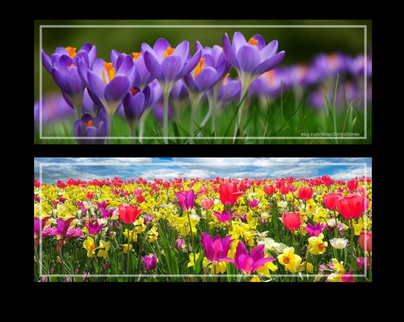 Facebook Cover Facebook Timeline Cover Facebook Cover Templates ...