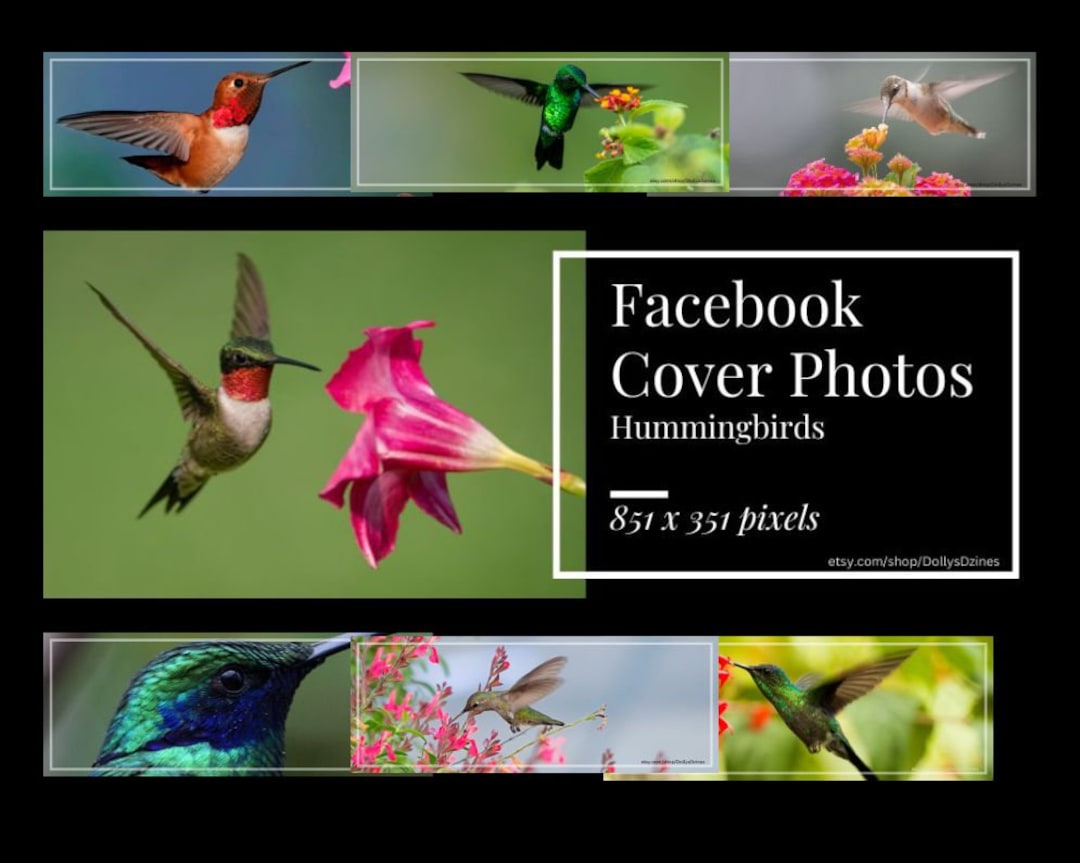 Hummingbird Facebook Cover, Facebook Timeline Cover, Facebook Cover ...