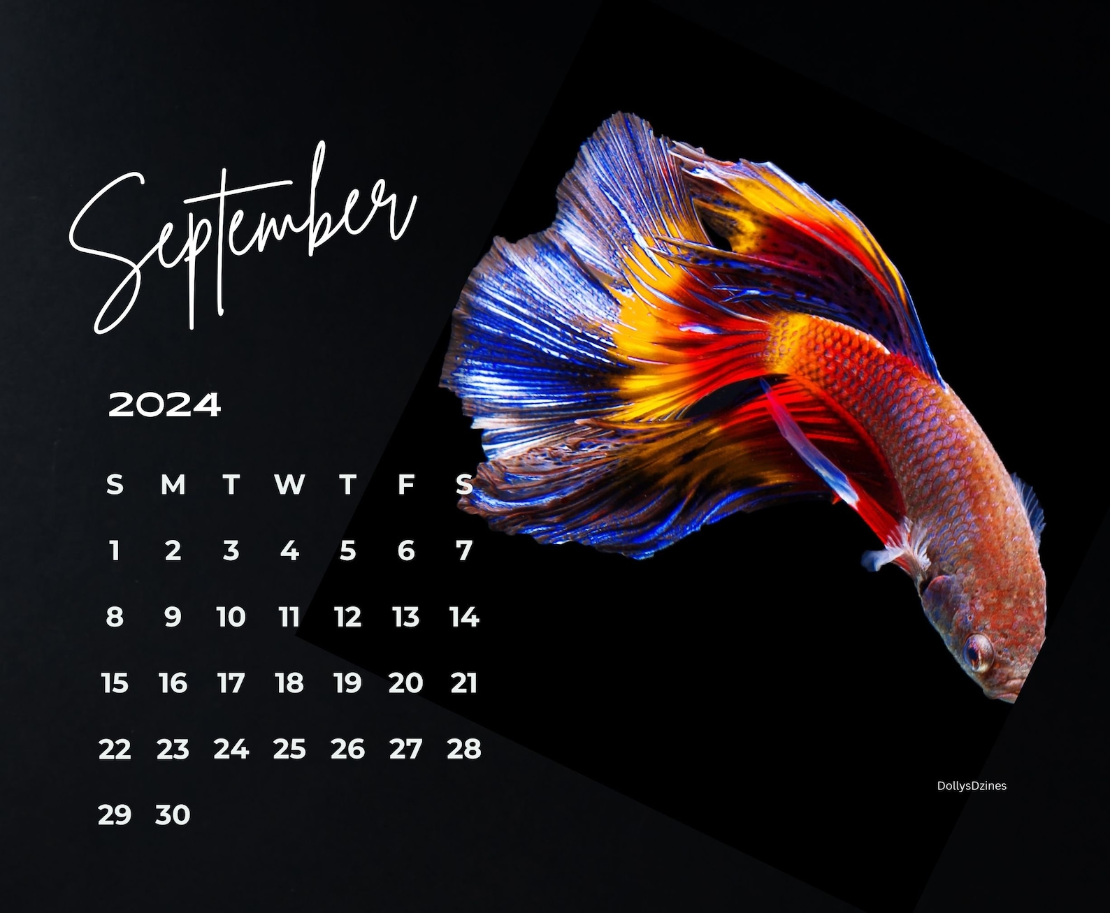 2024 Wall Calendar 2024 Betta Calendar 2024 Wall Calendar Printable ...