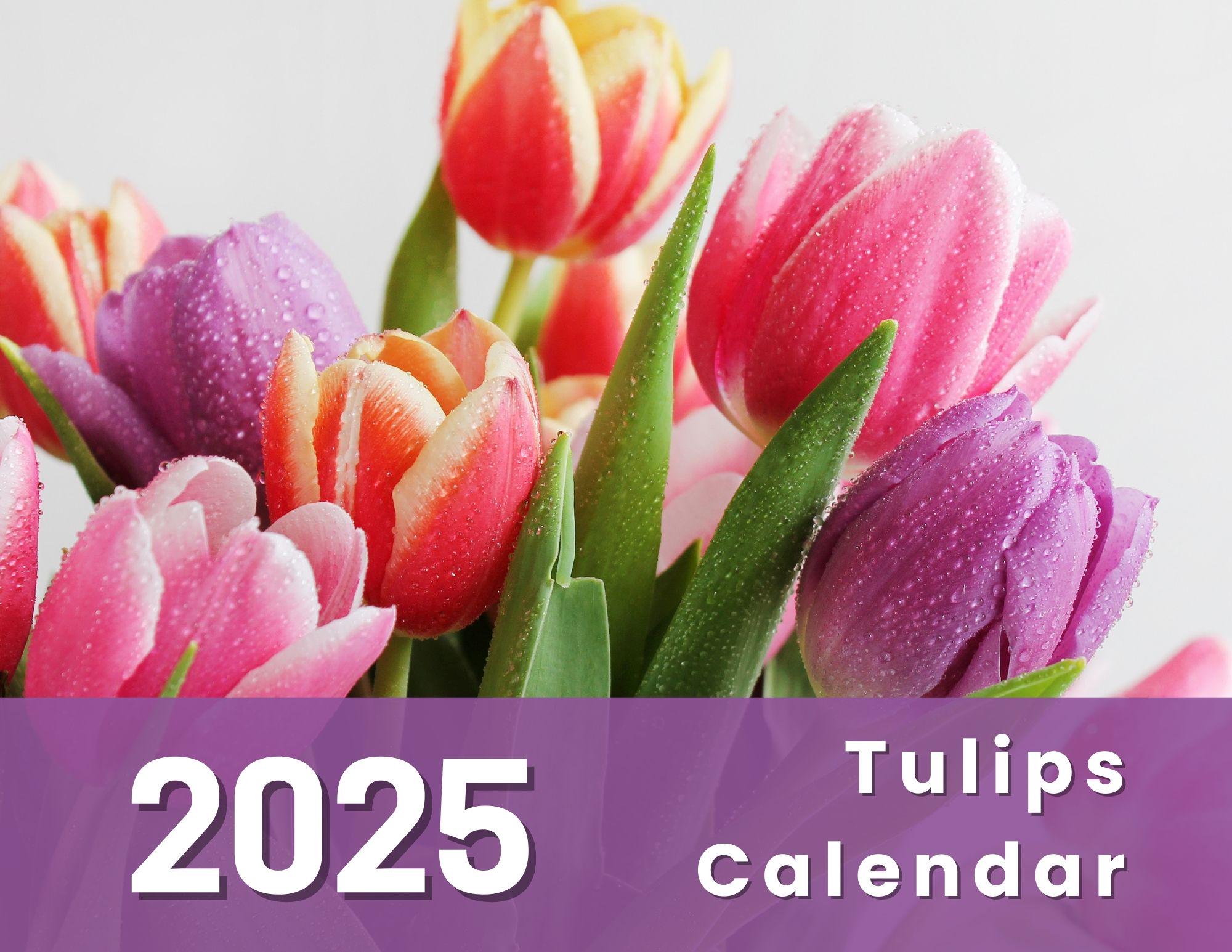 Tulips PRINTABLE Wall Calendar Monthly Desk Calendar Year Calendar ...