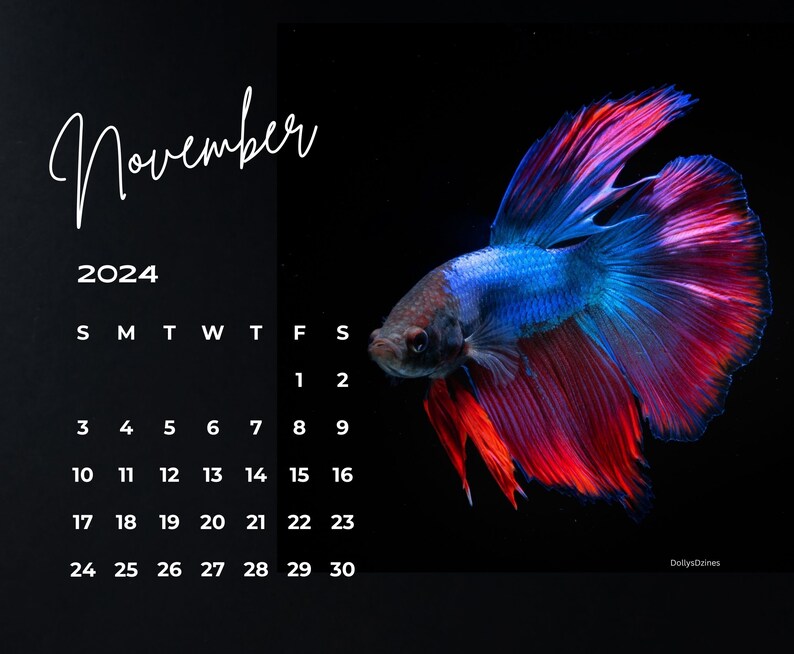2024 Wall Calendar 2024 Betta Calendar 2024 Wall Calendar Printable ... 2024 Wall Calendar 2024 Betta Calendar 2024 Wall Calendar Printable ...